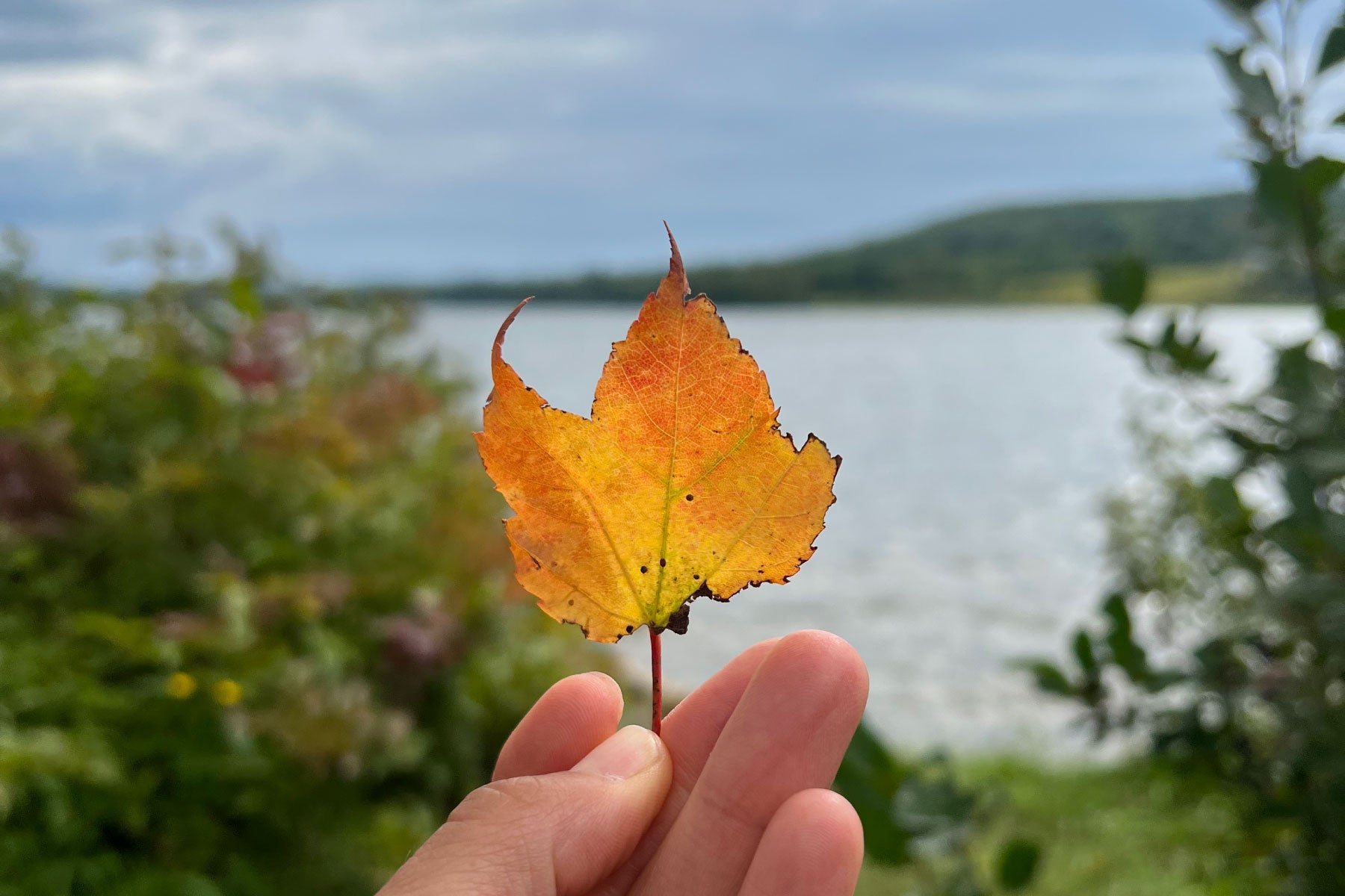 Keep Having Fun - Bivo