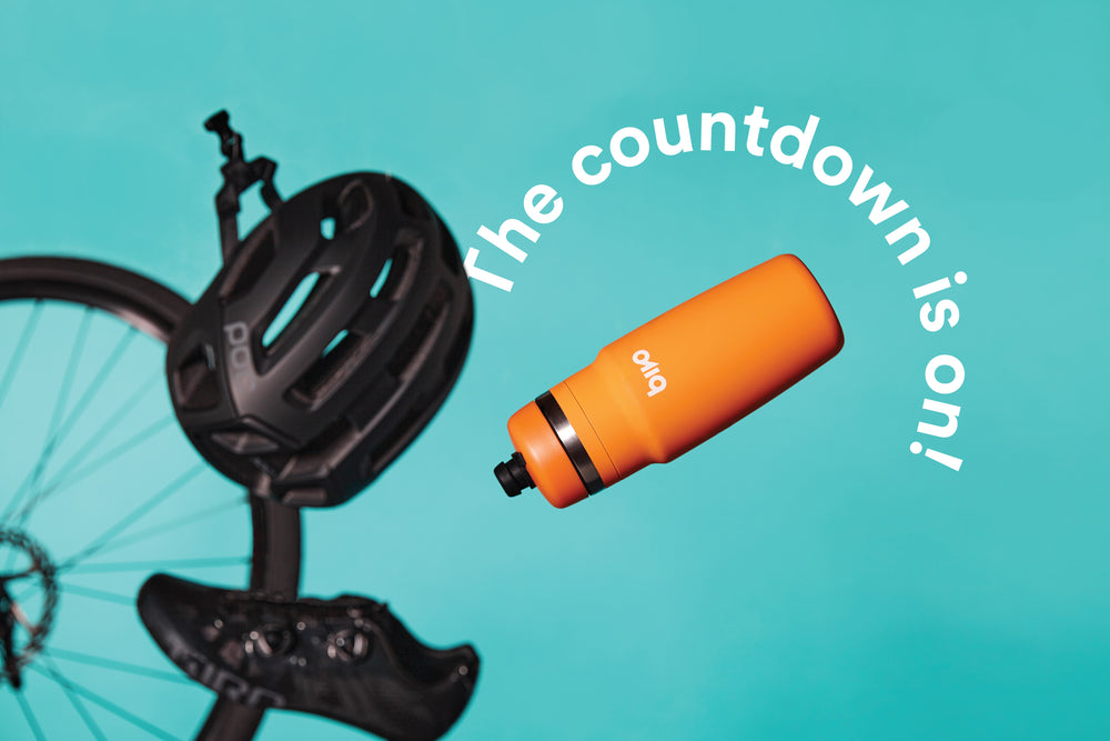 Here we come! - Bivo