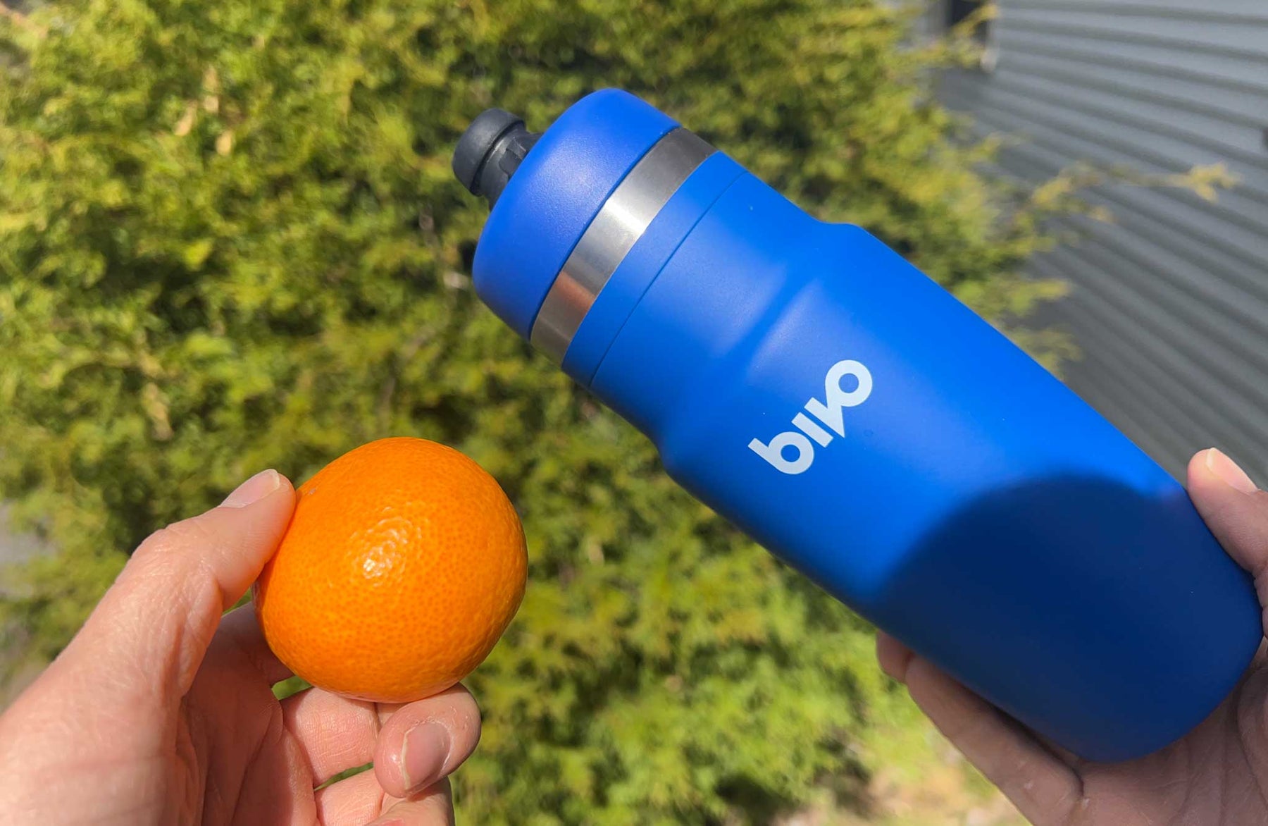 Just How Heavy is a Bivo Bottle?