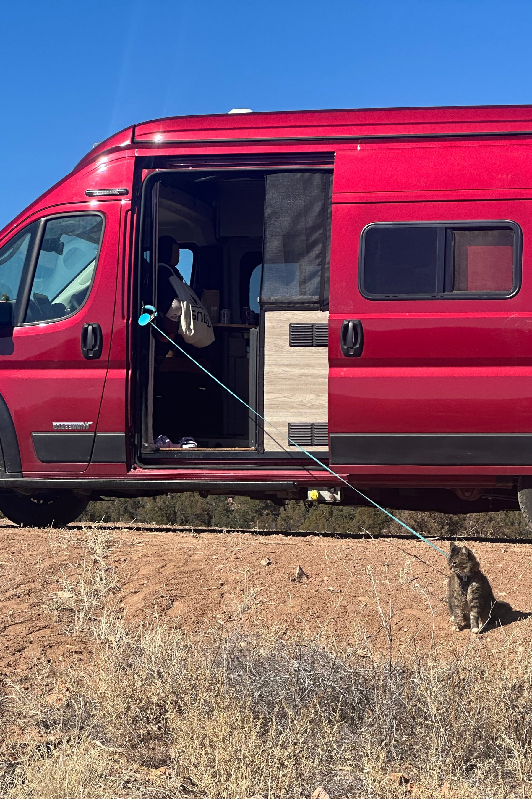 Quench’d: 2 Humans, 2 Cats, 1 Van: The Pros and Cons of Full-Time Van ...